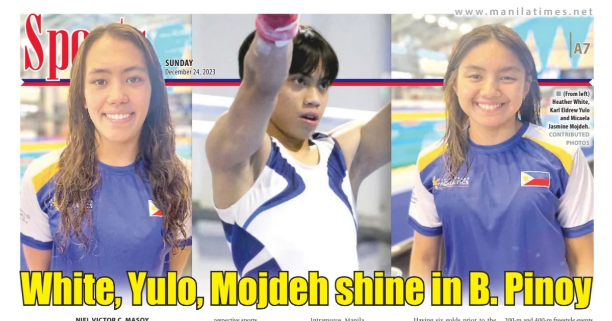 PressReader - Bookmark